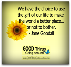 What Are Your Choices? | Good Things Going Around